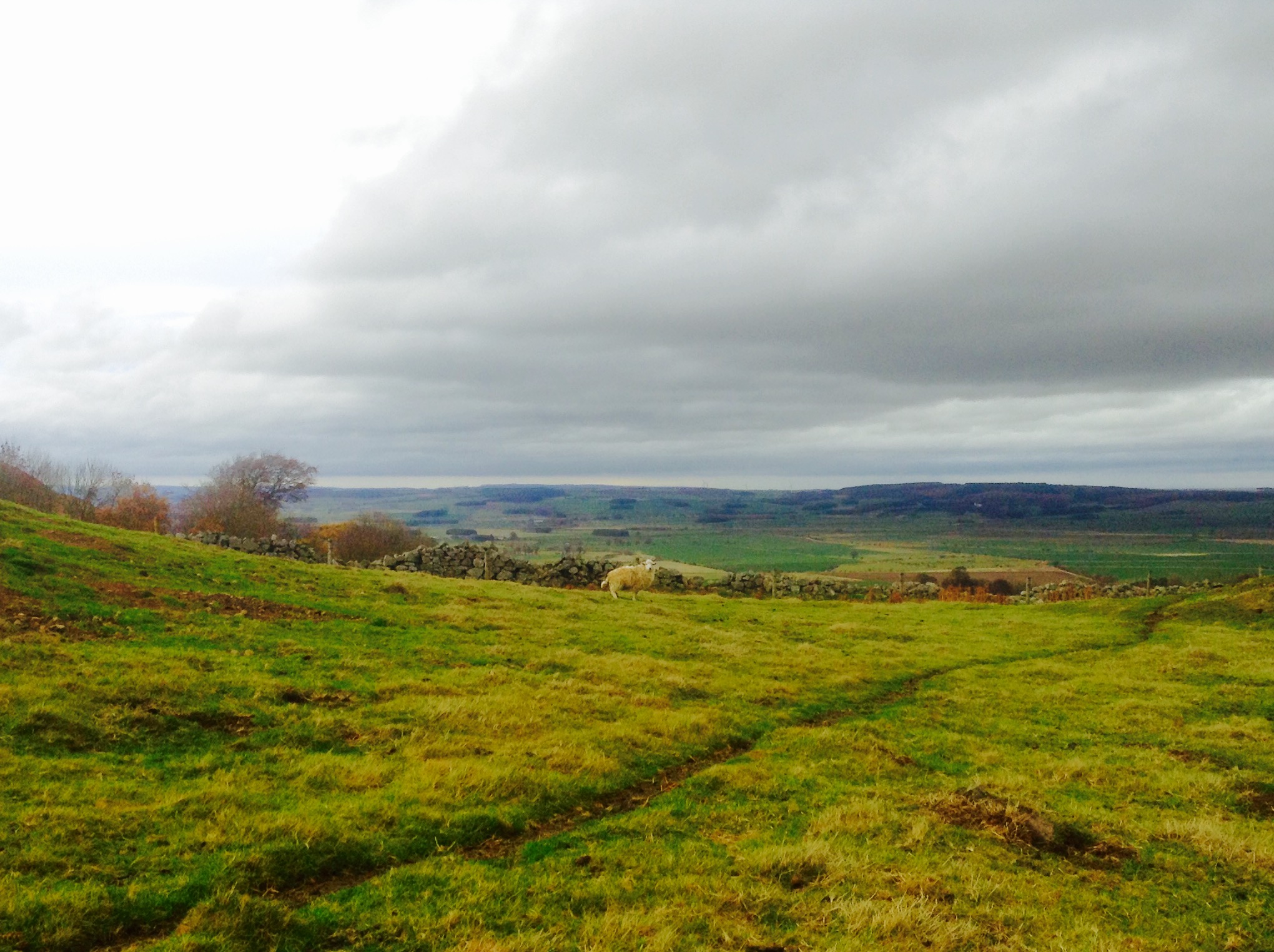 wooler 2 – nickreeves