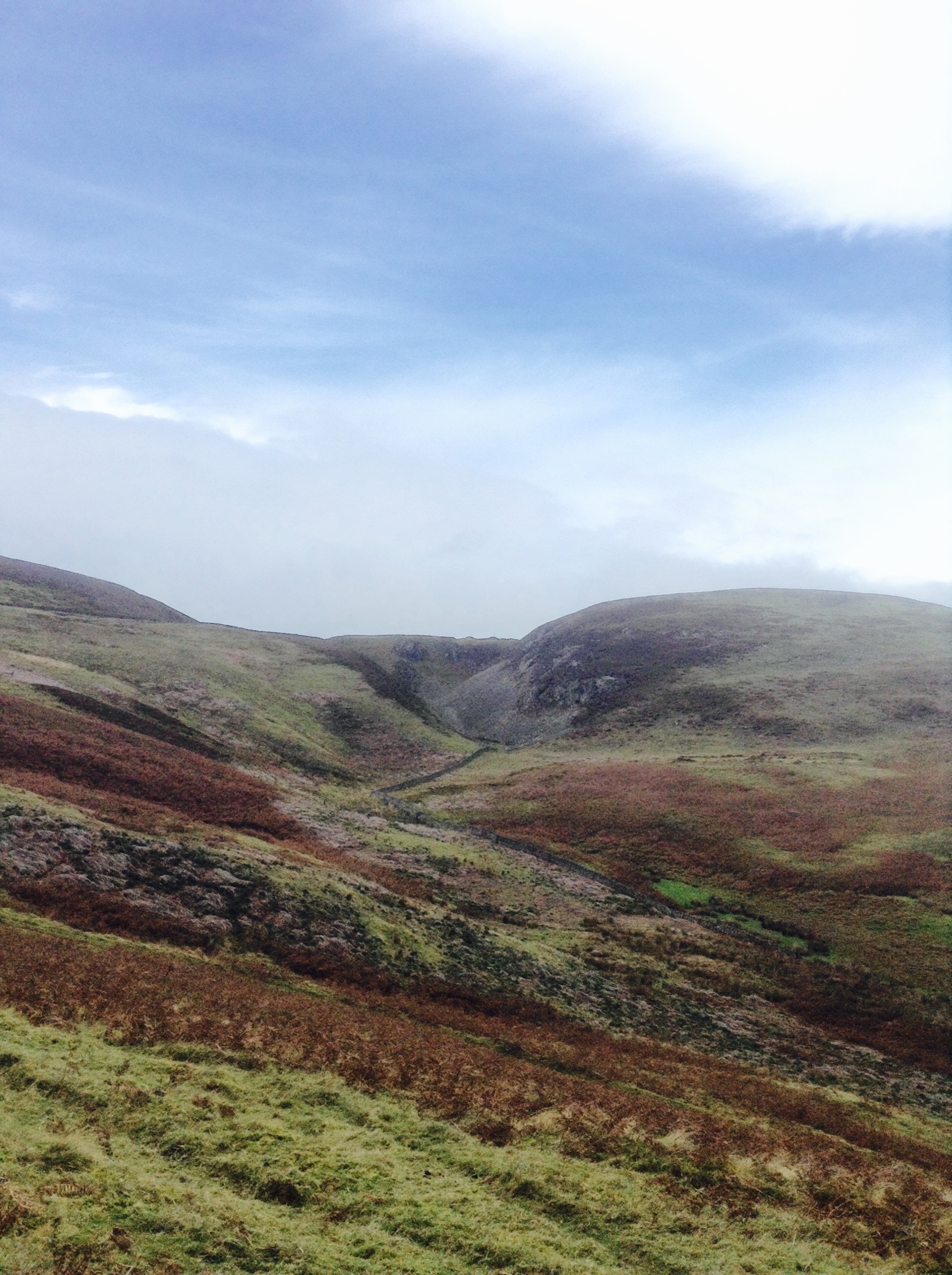 Five Miles of Wooler Common. – nickreeves